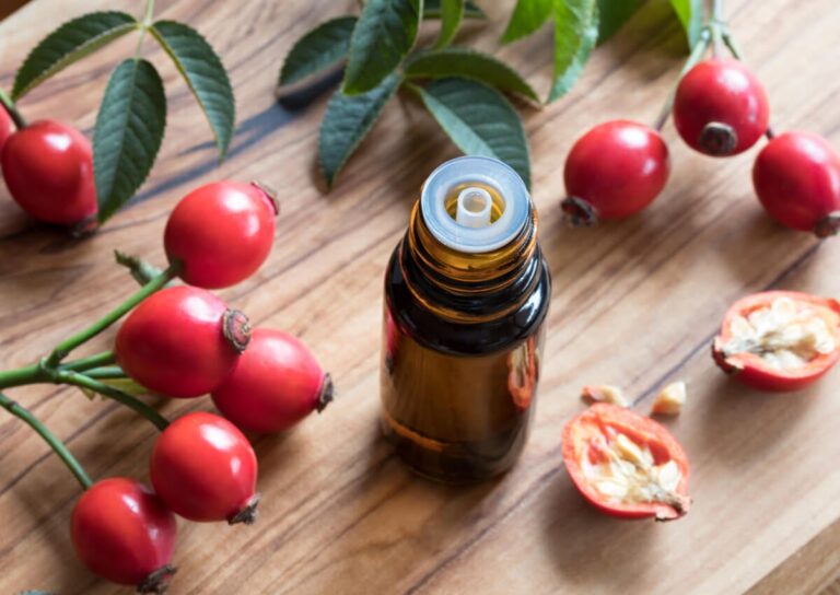 Desvendando os Segredos da Rosa Mosqueta: Um Elixir Natural para a ...